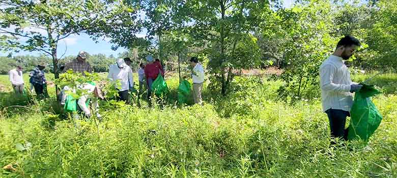 Cleanliness Drives in USA
