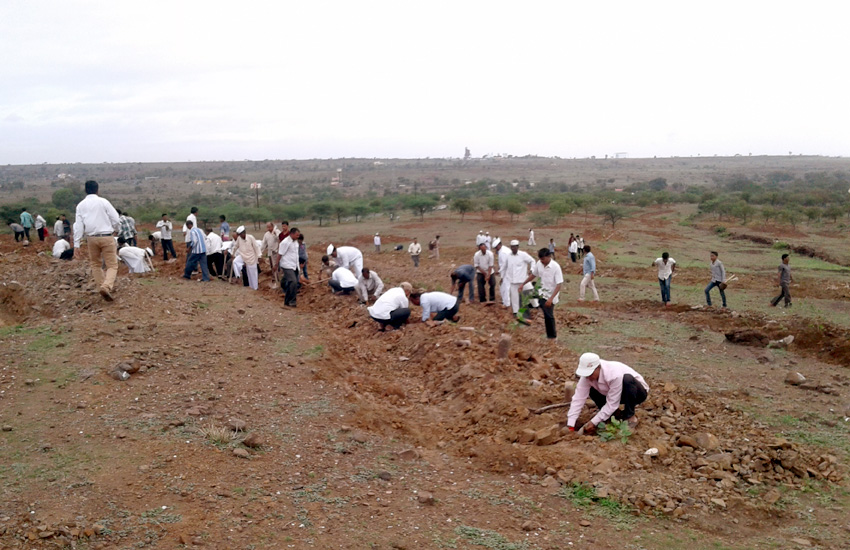 Tree Plantation Drive