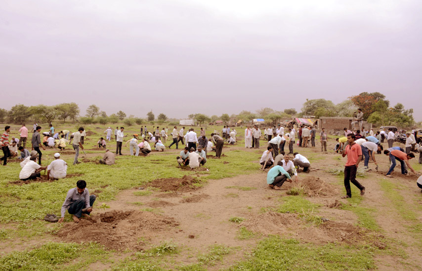 Tree Plantation Drive