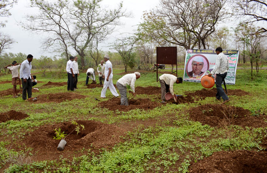 Tree Plantation Drive
