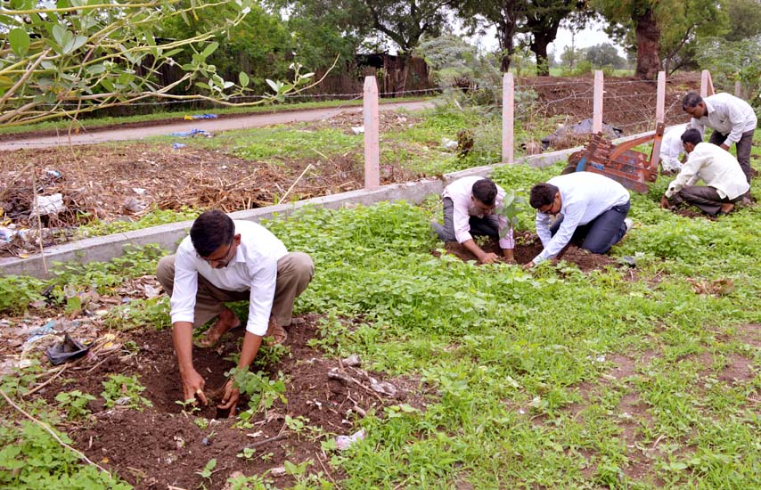 Tree Plantation Drive