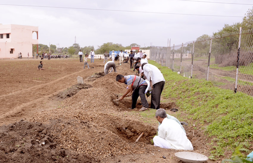 Tree Plantation Drive